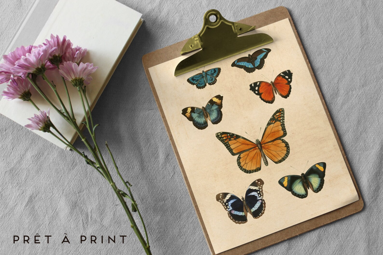 Cottagecore Room Decor, Butterfly Print, Vintage Butterfly, Retro Print ...
