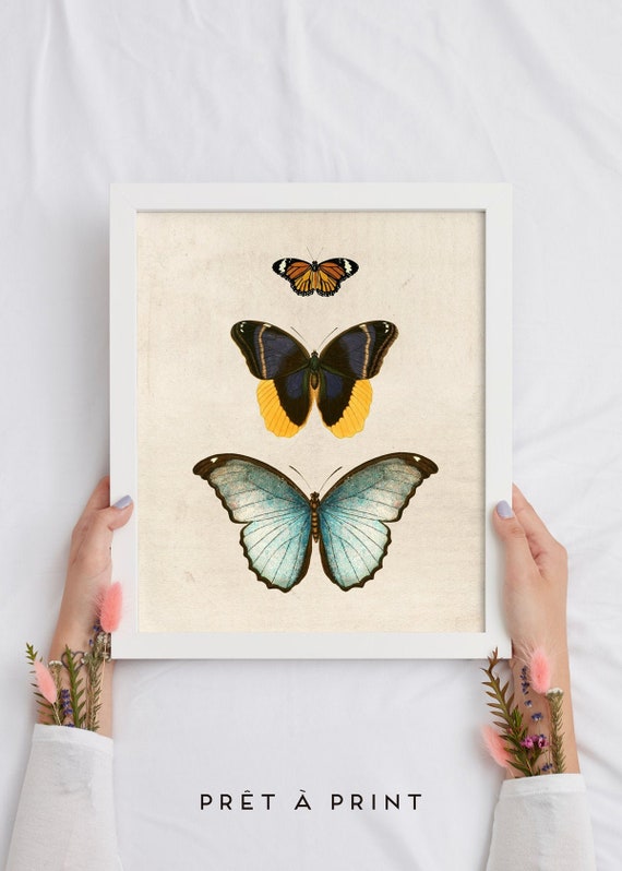 Butterfly Vintage Print Cottagecore Style Boho Decor | Etsy