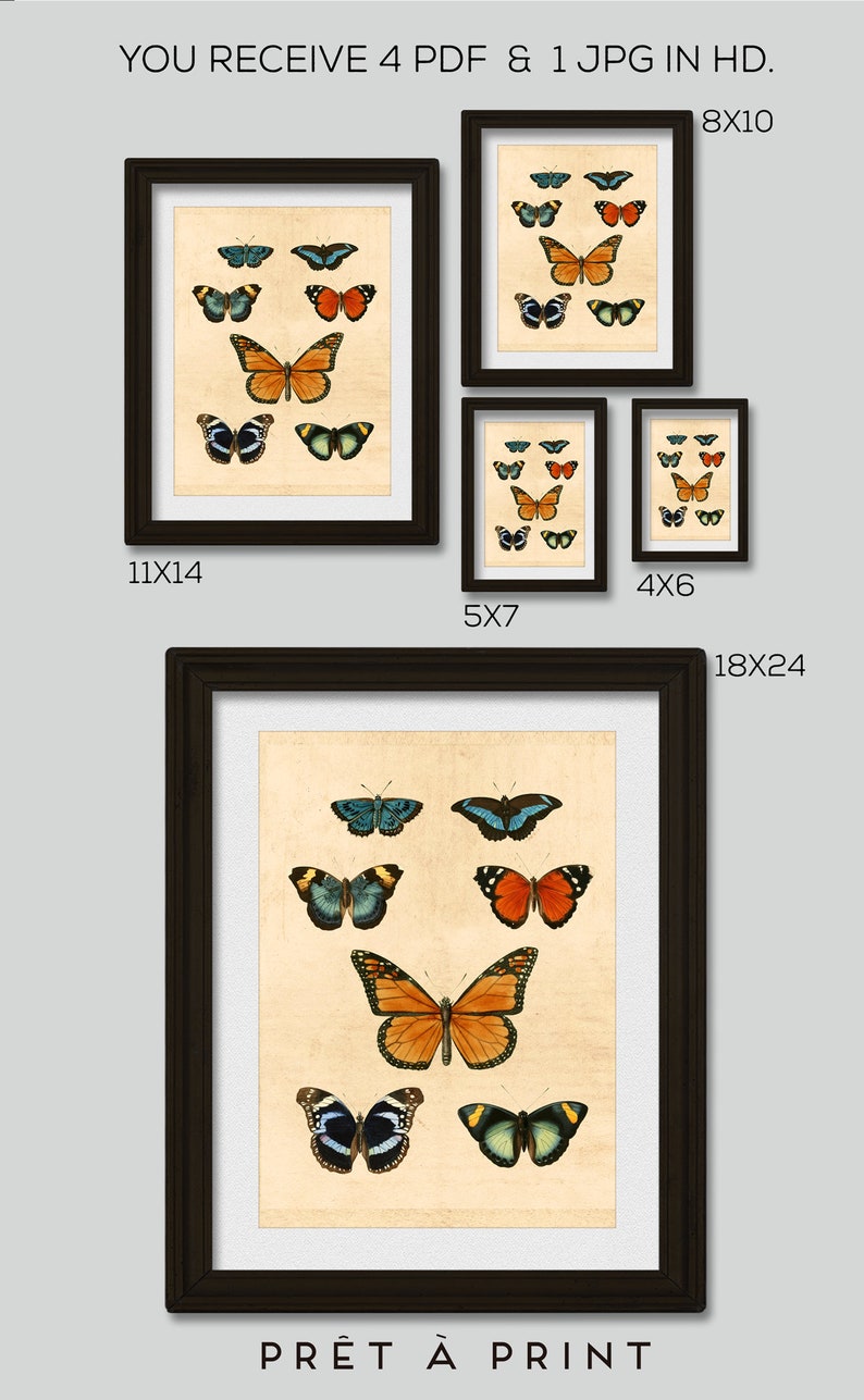 Cottagecore Room Decor, Butterfly Print, Vintage Butterfly, Retro Print ...