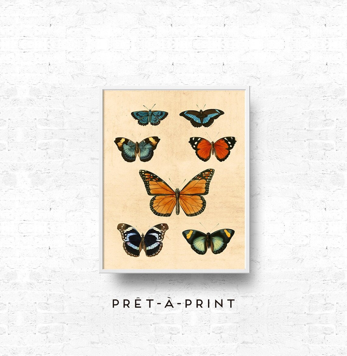 Cottagecore Room Decor, Butterfly Print, Vintage Butterfly, Retro Print ...