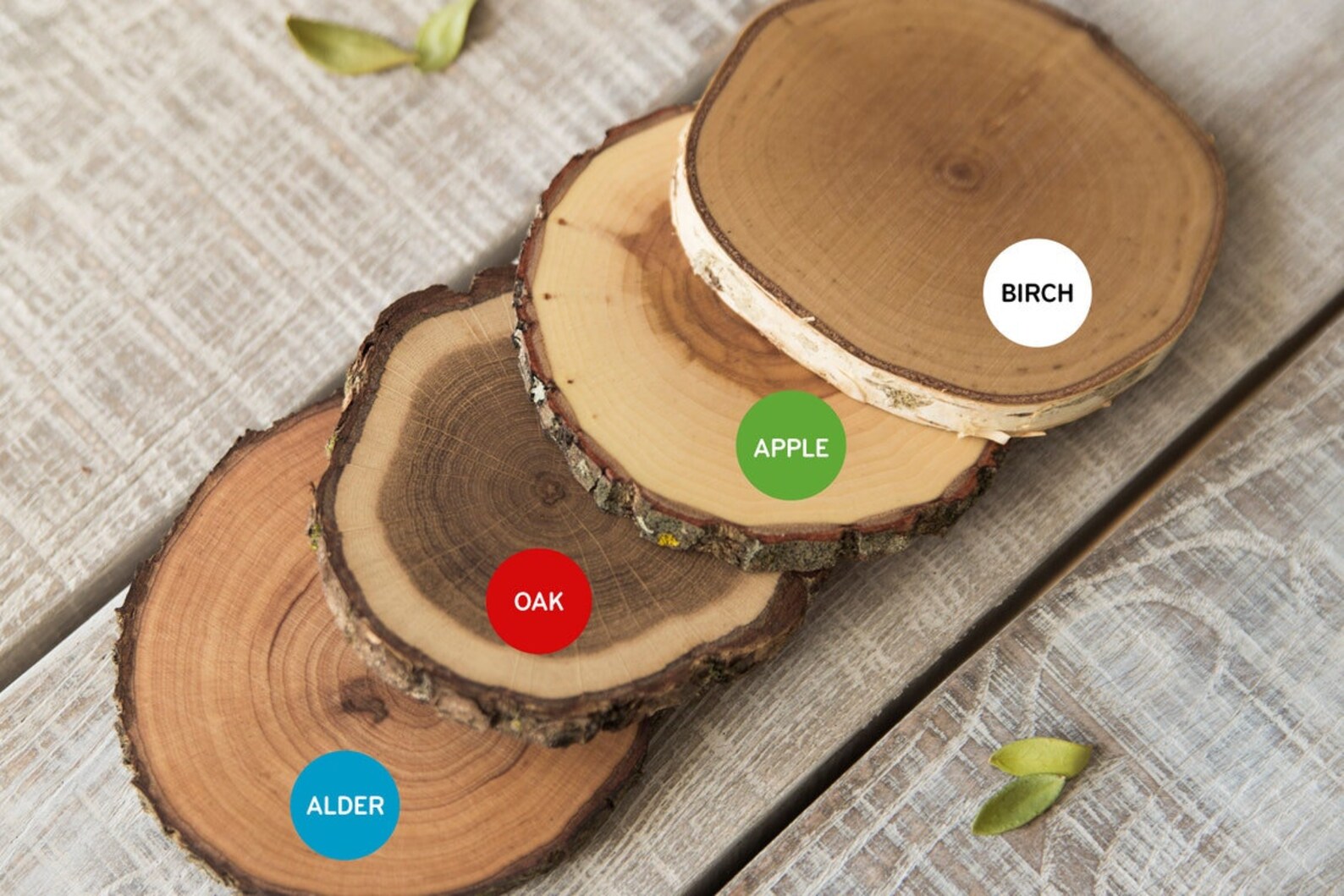 Wood Coasters Wood Slices Wooden Coasters Wooden Slices - Etsy