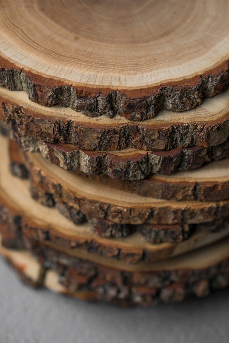 Rustic Coasters, Wooden Slices, Modern Woodwork, Rustic Wedding Decor ...