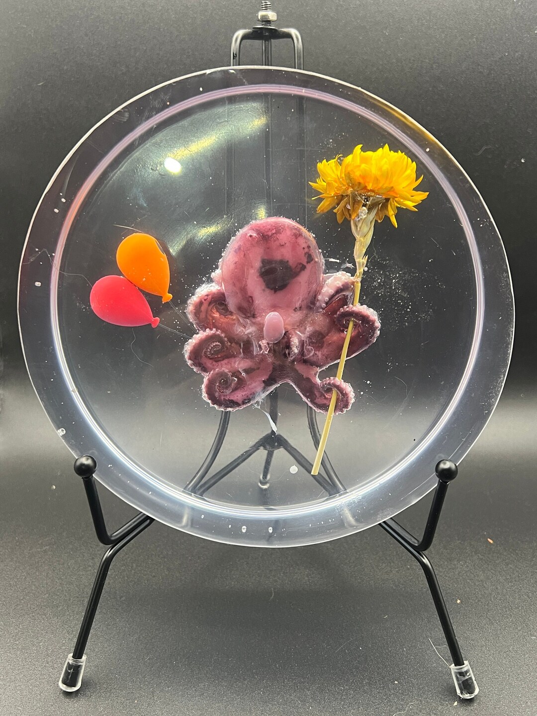 Preserved Octopus With Balloons and a Flower - Etsy