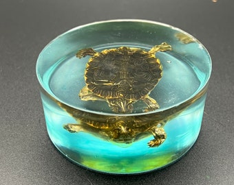 Turtle Sticker, Red Eared Slider, Water Resistant, Vinyl Sticker ...