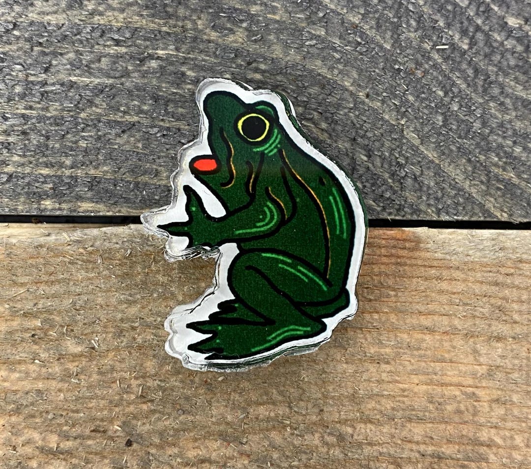 Frog Acrylic Pin - Etsy