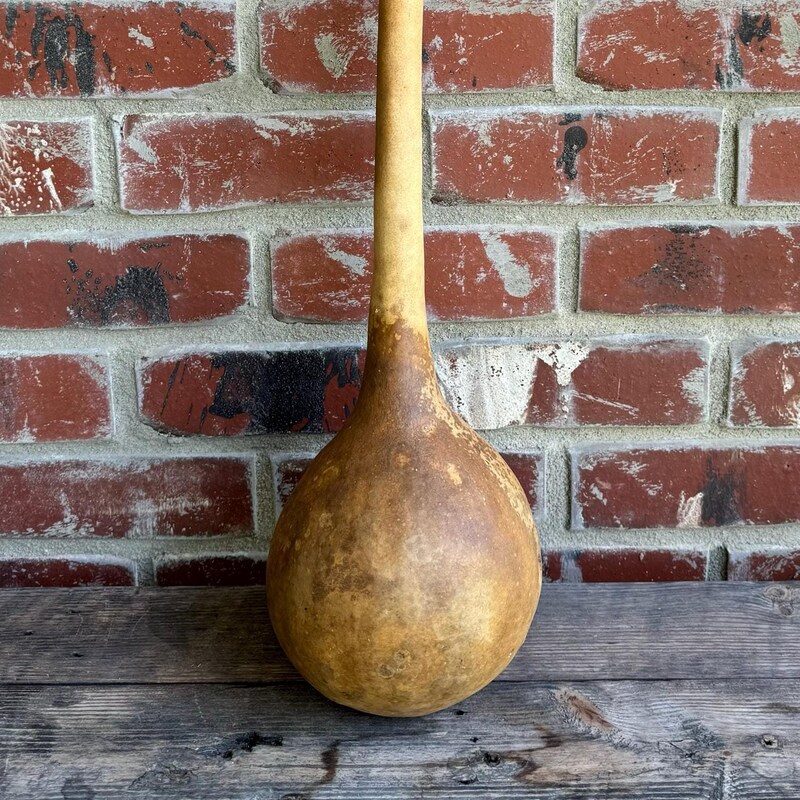Gourds for Crafts - Etsy