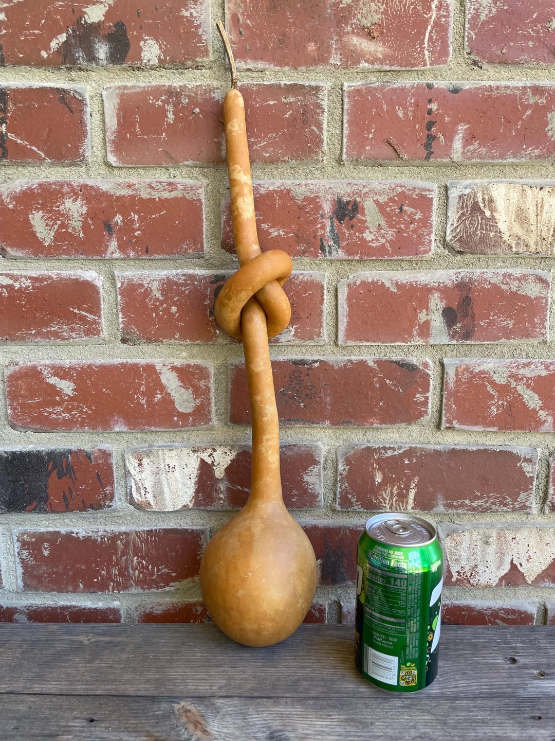 Dry Well Farms. Mini Knotted Long Handle Gourd. 20.5 Long. so Adorable ...