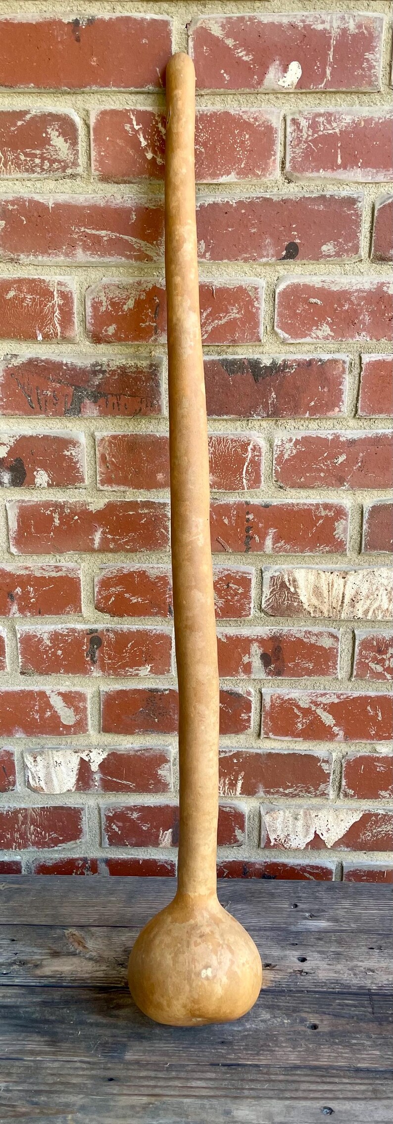 Dry Well Farms. Long Handle Gourd. Dried and Cleaned. 341 - Etsy