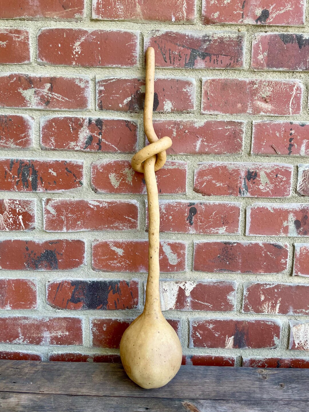 Dry Well Farms. Small Knotted Long Handle Gourd. 23.5 Long. so Adorable ...