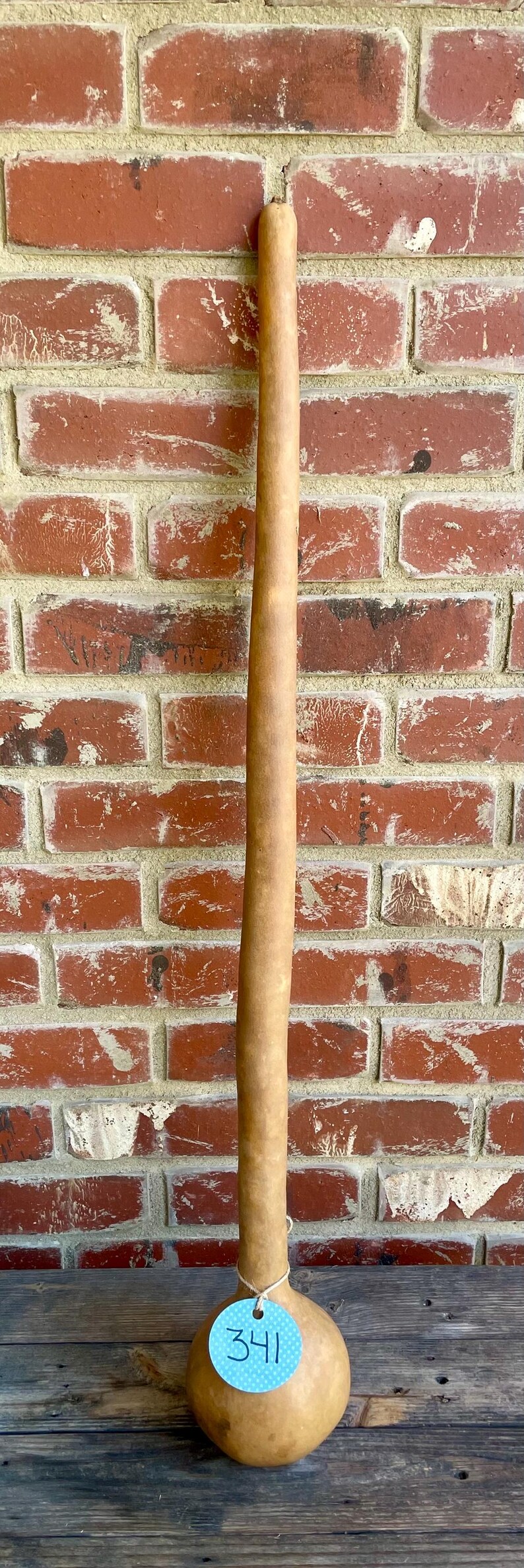 Dry Well Farms. Long Handle Gourd. Dried and Cleaned. 341 - Etsy