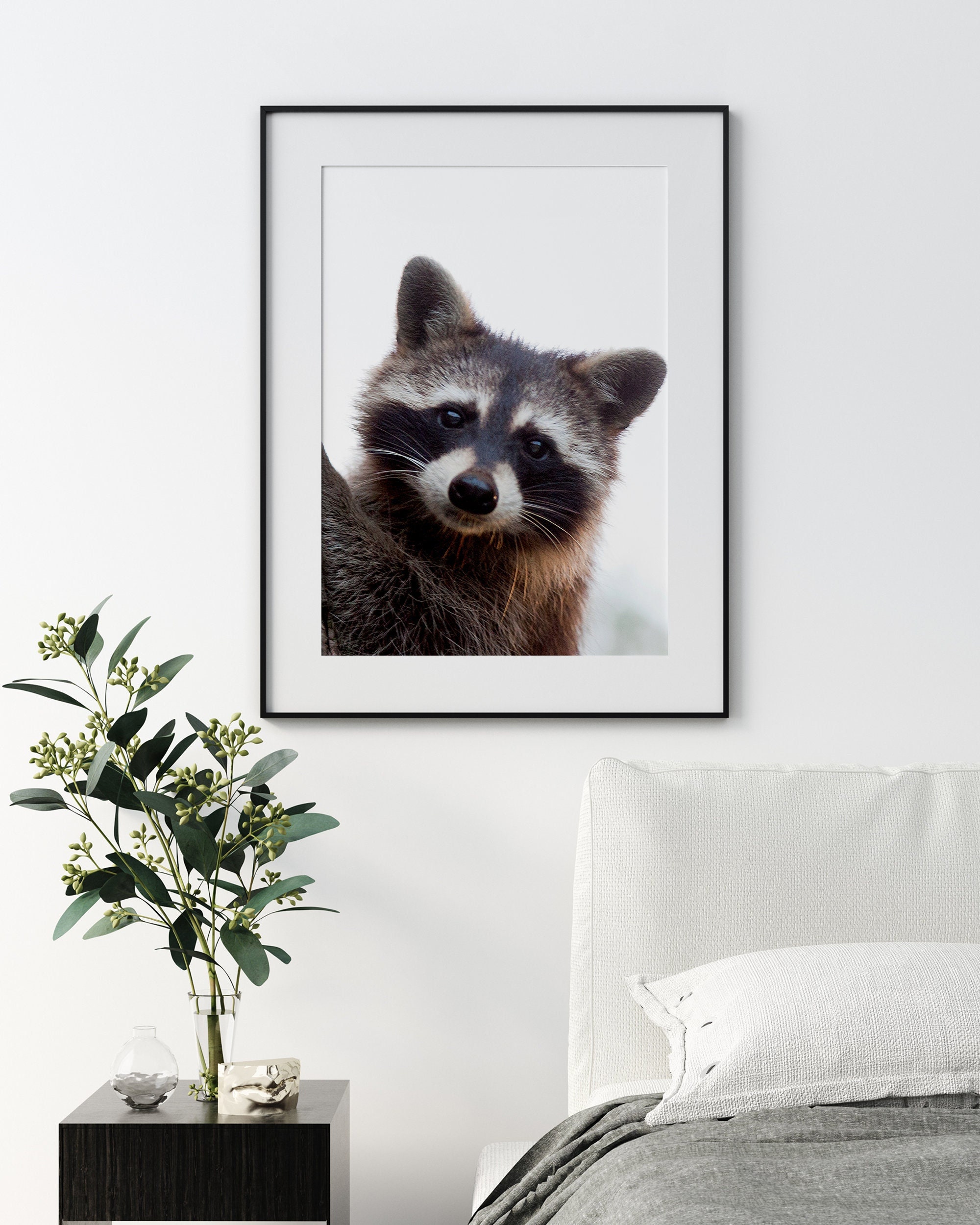 Raccoon Photography Print, Raccoon Art Print, Printable Wall Art ...