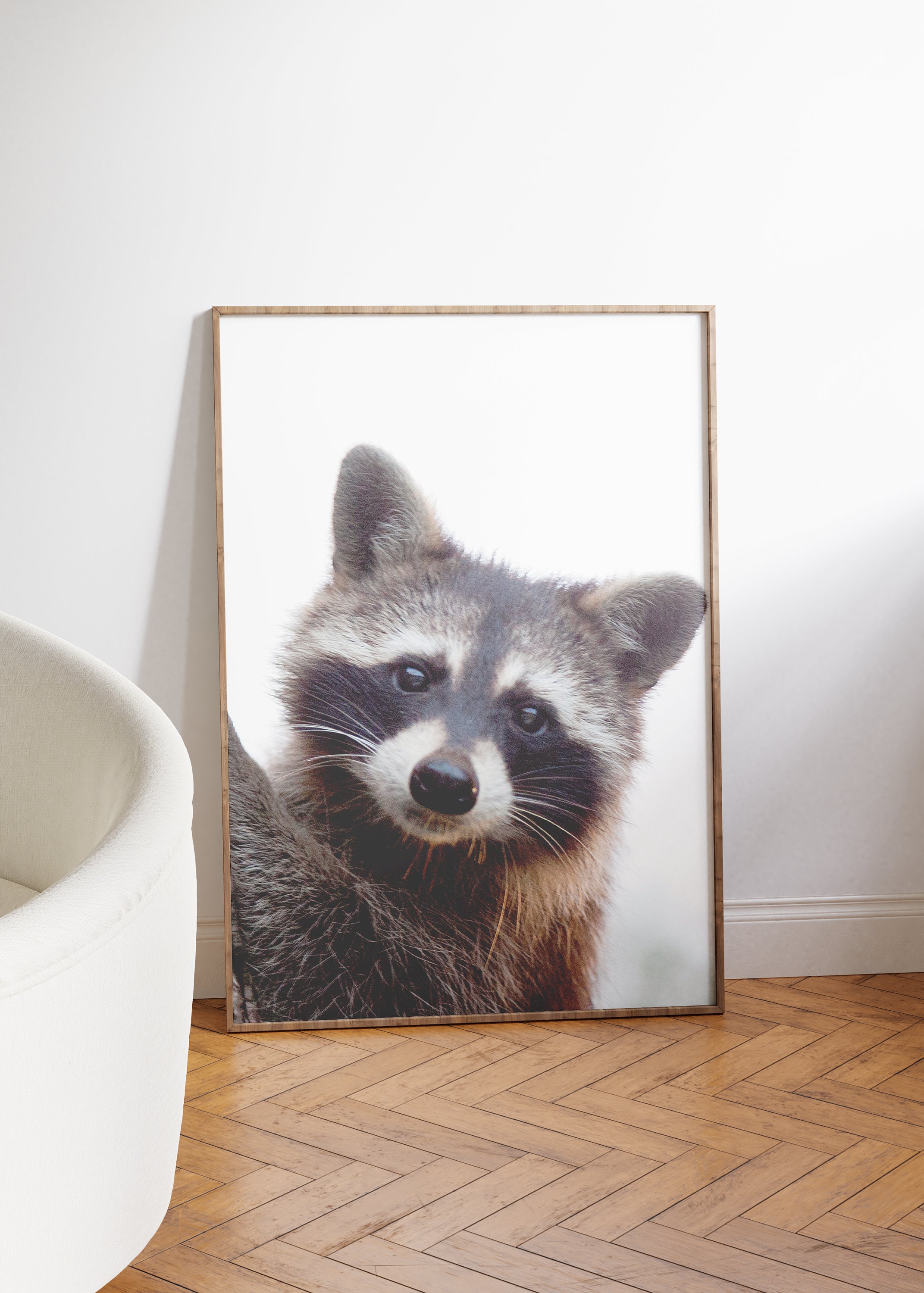 Raccoon Photography Print, Raccoon Art Print, Printable Wall Art ...