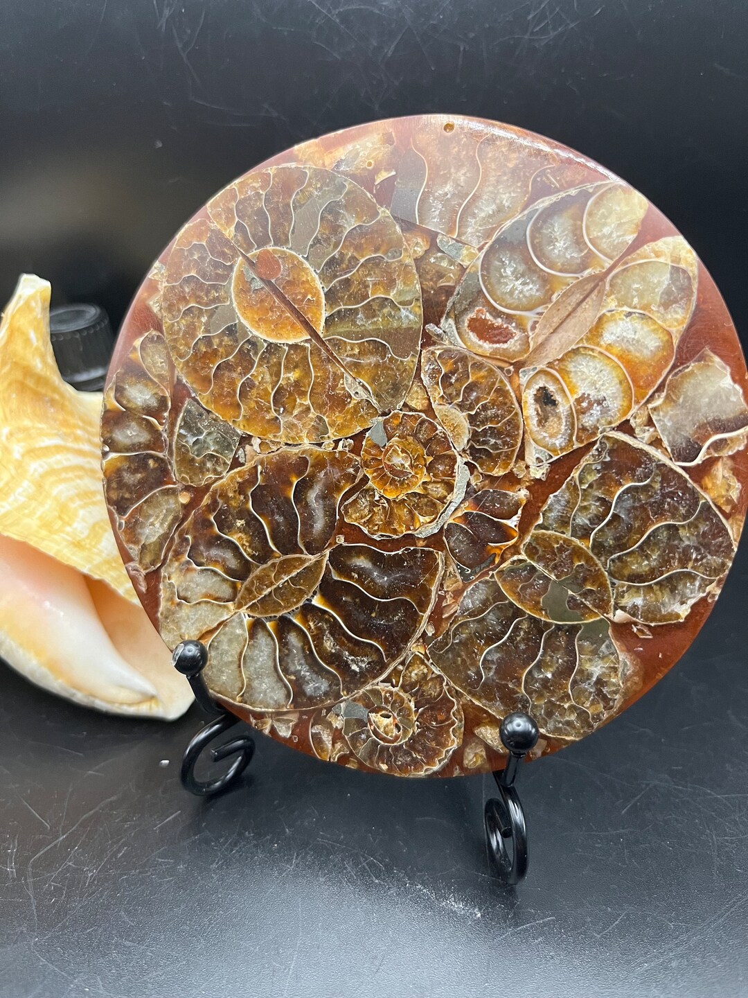 Beautiful Ammonite Plate With Stand Included /128 G Ammonite Crystal ...