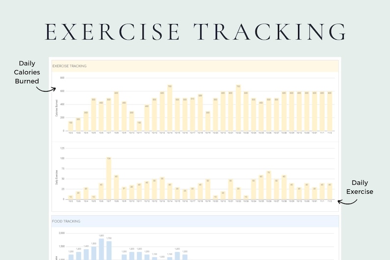 Weight Loss and Fitness Tracker: Google Sheets & Excel Spreadsheet With ...