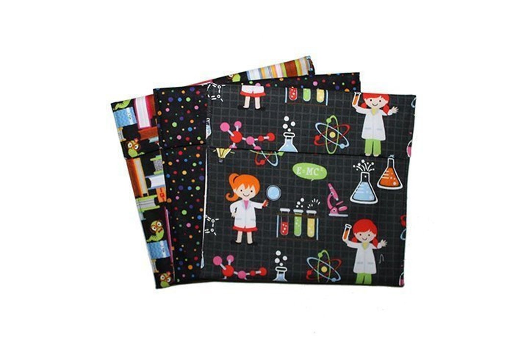Girls Science Gift, Scientist Gift, Kids Snack Bags, Fold Top Baggies ...