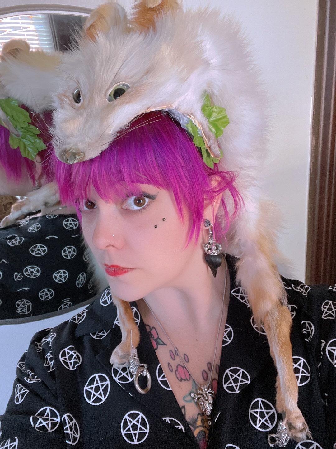 Made to Order Coyote or Fox Pelt Cape Weird Taxidermy - Etsy UK