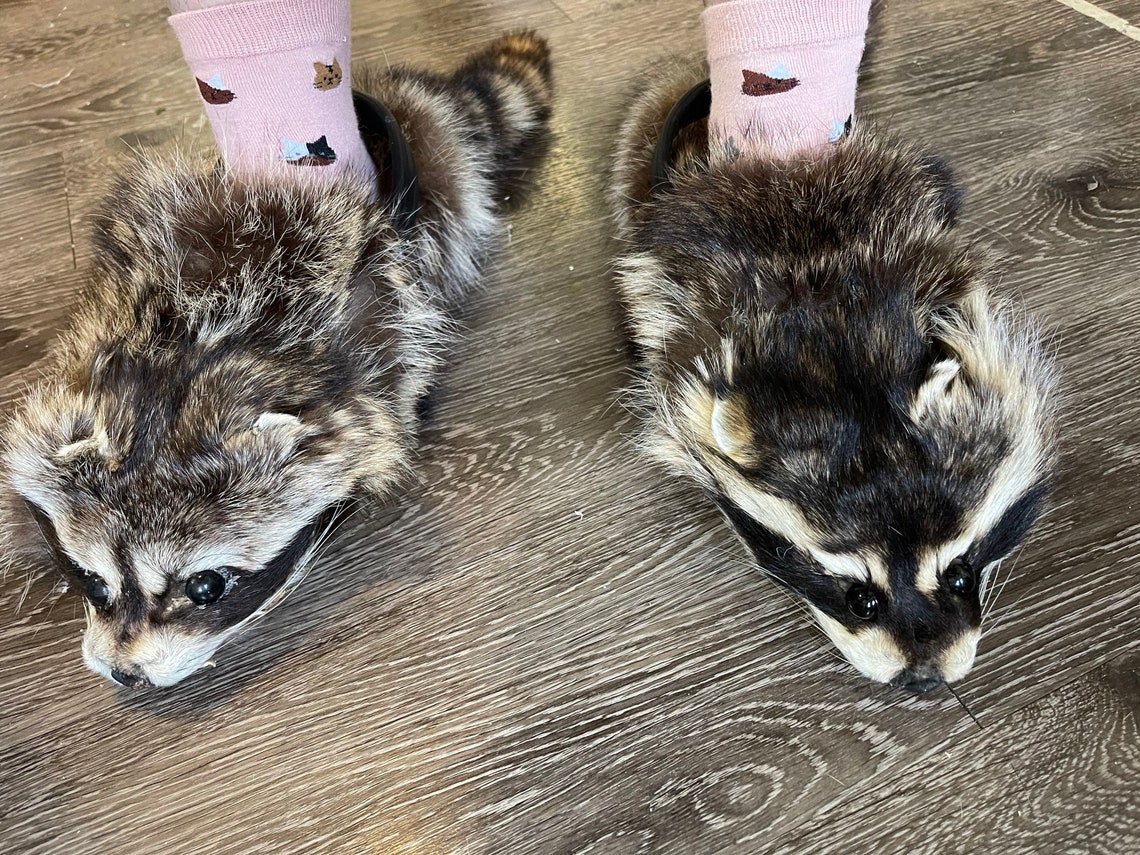 Weird Taxidermy: Custom CROCCOONS Crocs and Raccoons Finaly - Etsy