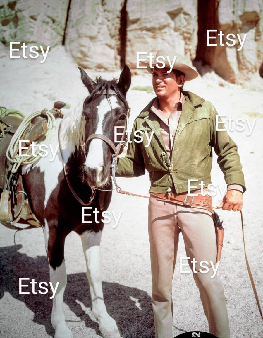 Bonanza Little Joe Horse