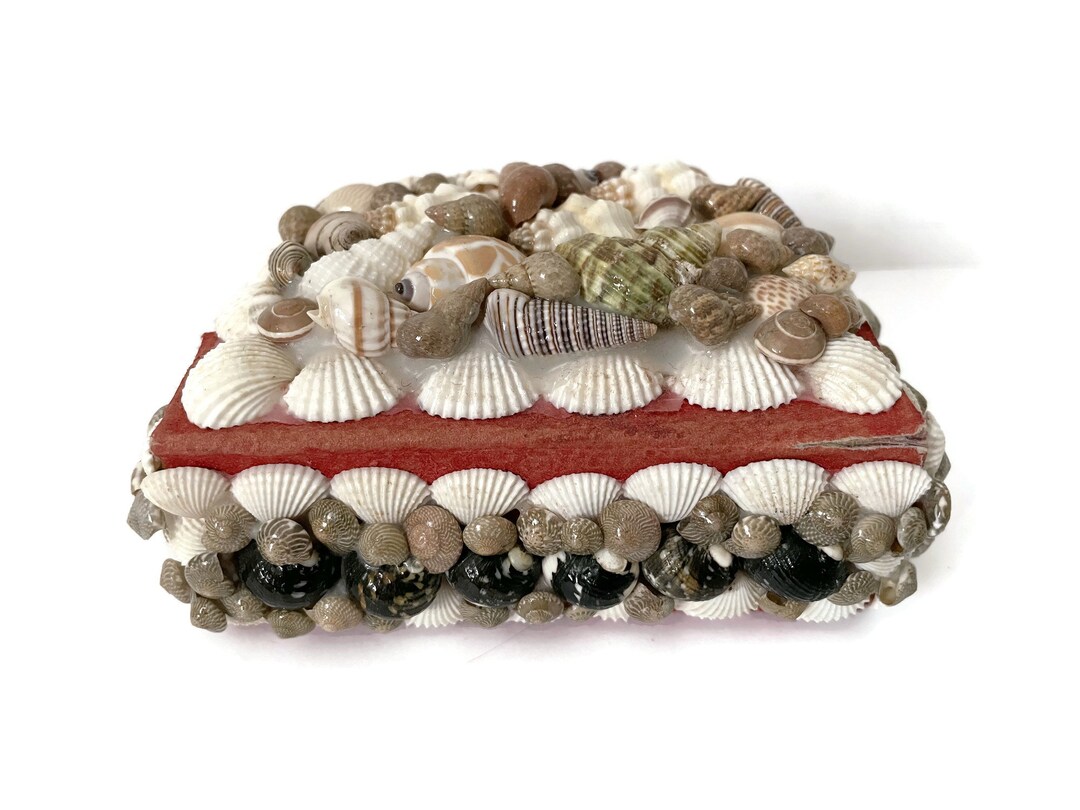 Vintage Seashell Box, Natural Sea Shell Jewelry Trinket Box, Bohemian ...