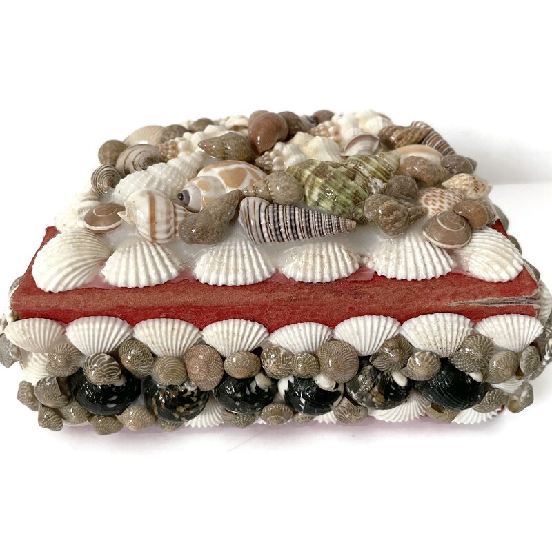 Seashell Box - Etsy