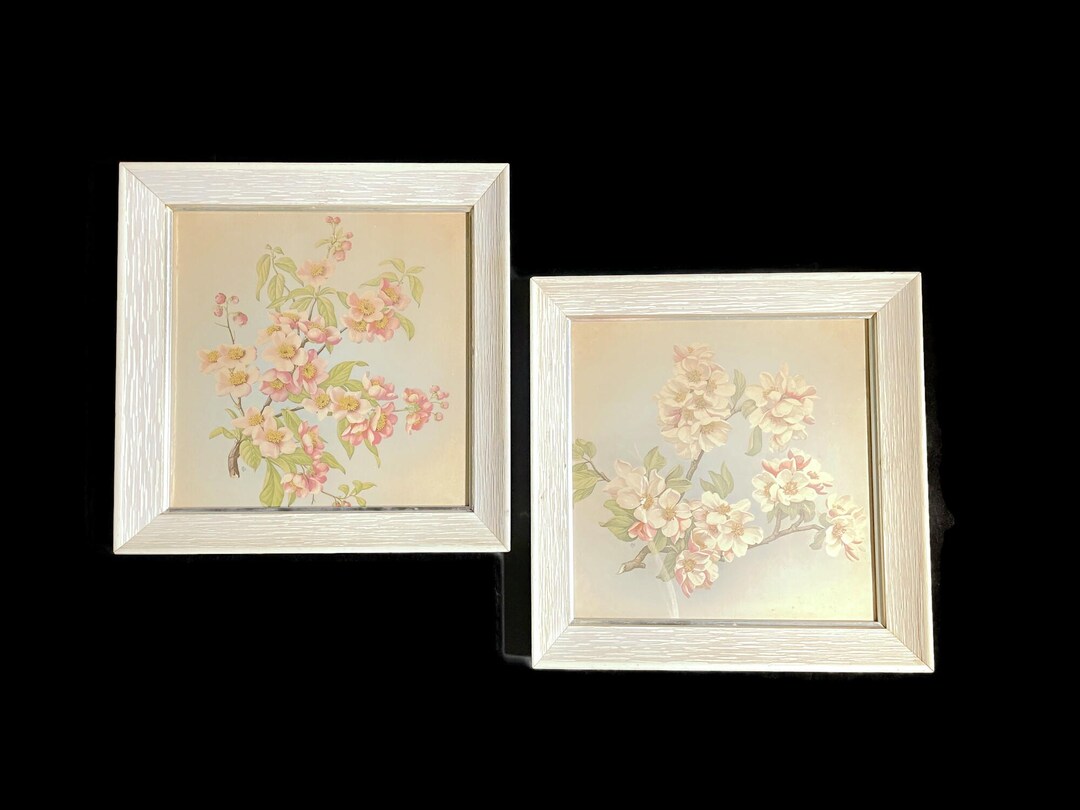 Vintage Framed Ibfco Lithograph Floral Set Pair, Framed Flowers Blooms ...