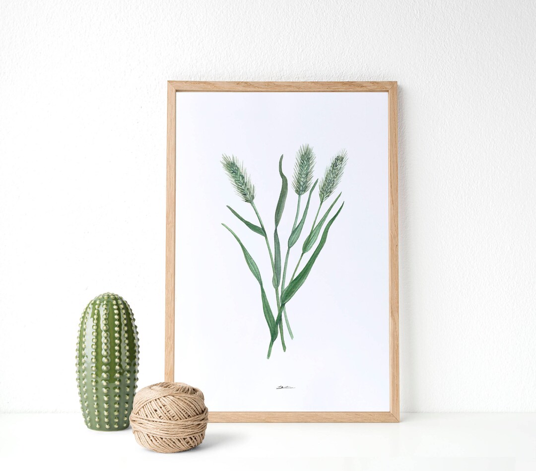Barley Illustration, Botanical Print, Kitchen Decor, Kitchen Wall Art ...