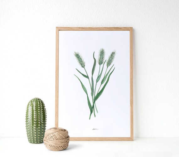 Barley Illustration Botanical Print Kitchen decor Kitchen | Etsy