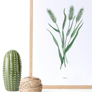 Barley Illustration, Botanical Print, Kitchen Decor, Kitchen Wall Art ...