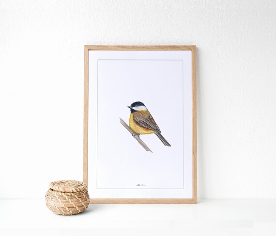 Bird Print. Bird Art Bird Painting. Birds Wall Art Bird | Etsy