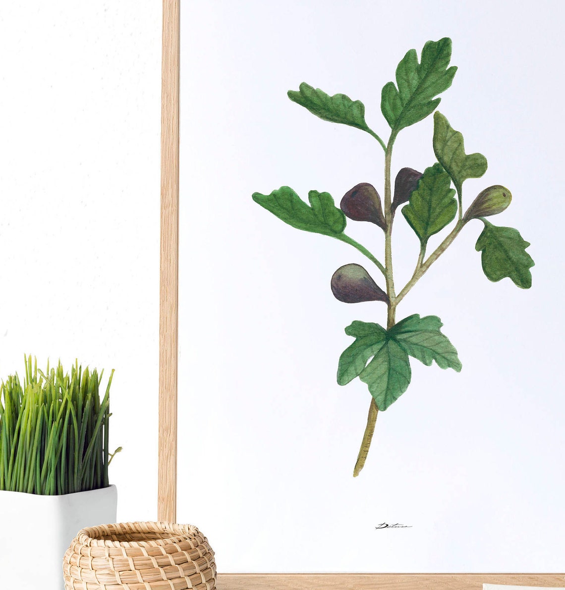 Fig Botanical Print Fig Print Botanical Print Kitchen - Etsy