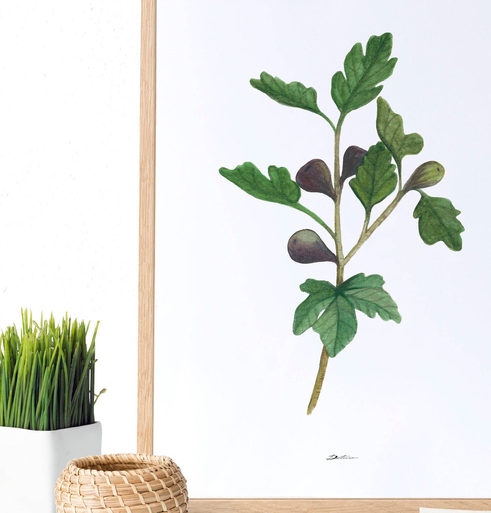 Fig Botanical Print Fig Print Botanical Print Kitchen - Etsy