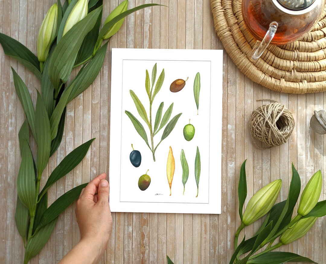 Olive Tree Print, Olive Watercolor Paint, Kitchen Decor, Botanical ...