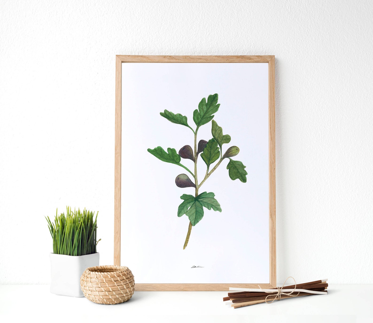 Fig Botanical Print Fig Print Botanical Print Kitchen - Etsy