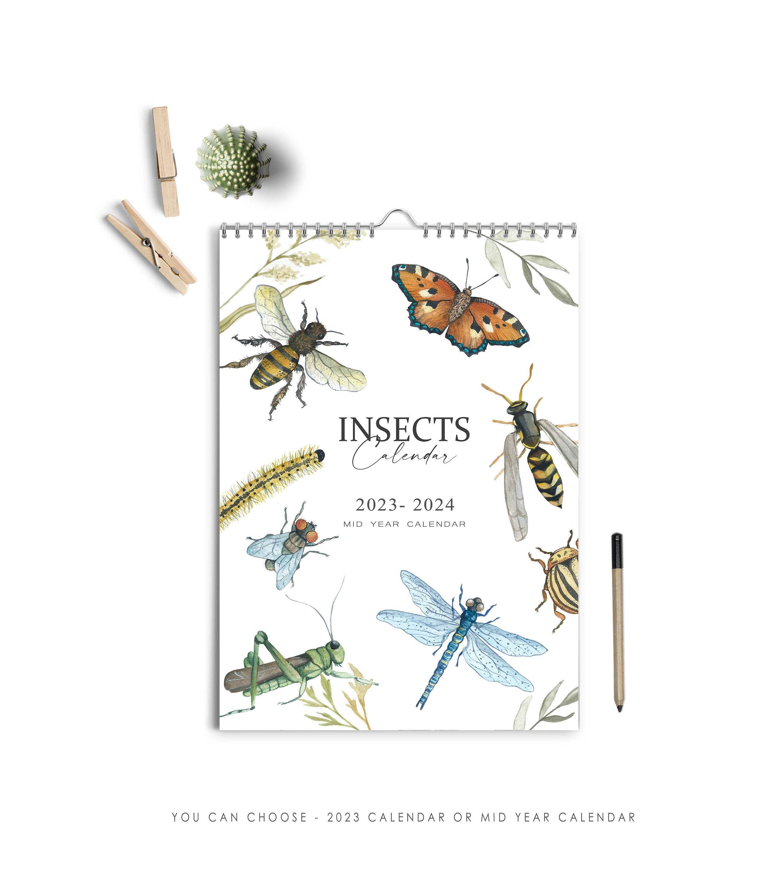 Calendar 2024 Wall Calendar 2024 Insects Calendar 2024 - Etsy Australia