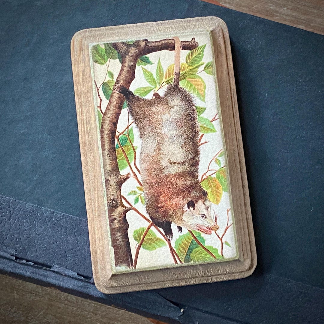 MINI Possum Opossum Portrait Distressed Plaque Sign Anthropomorphic ...