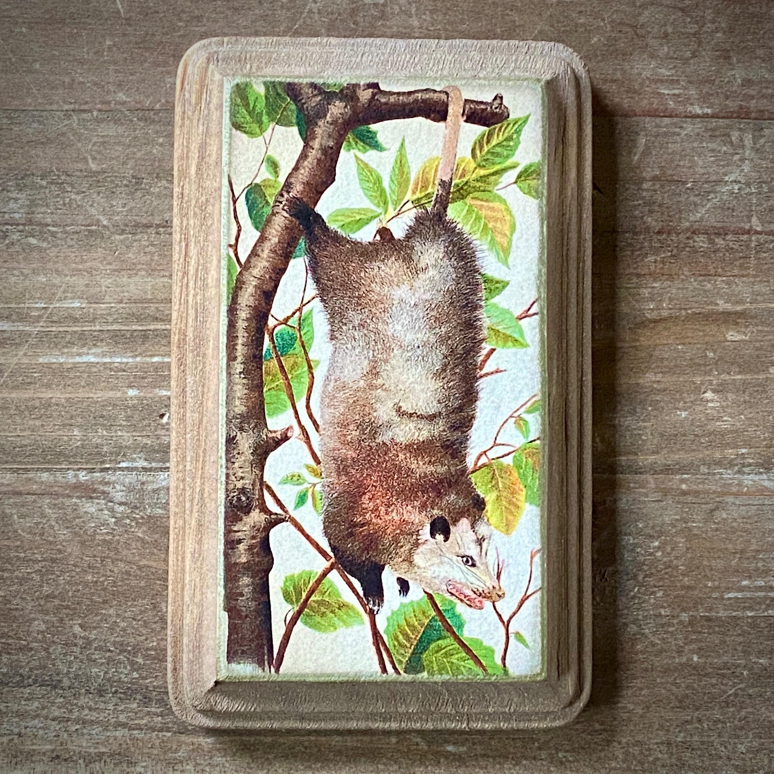 MINI Possum Opossum Portrait Distressed Plaque Sign Anthropomorphic ...