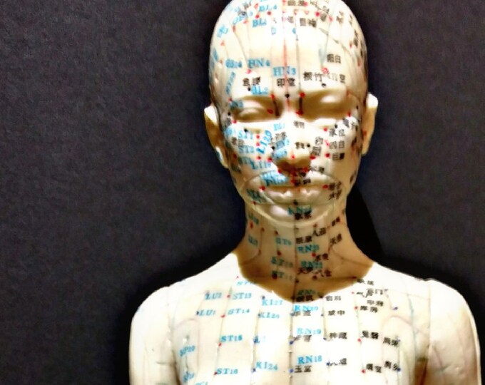 Vintage Acupuncture Points Mannequin Model - Etsy