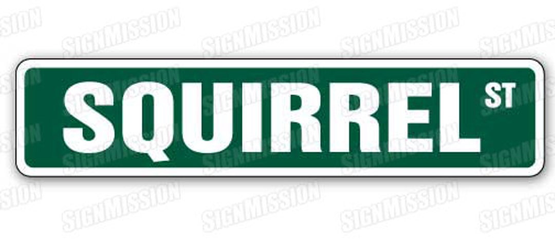 Squirrel Street Sign Xing Crossing Nuts Funny Gift - Etsy