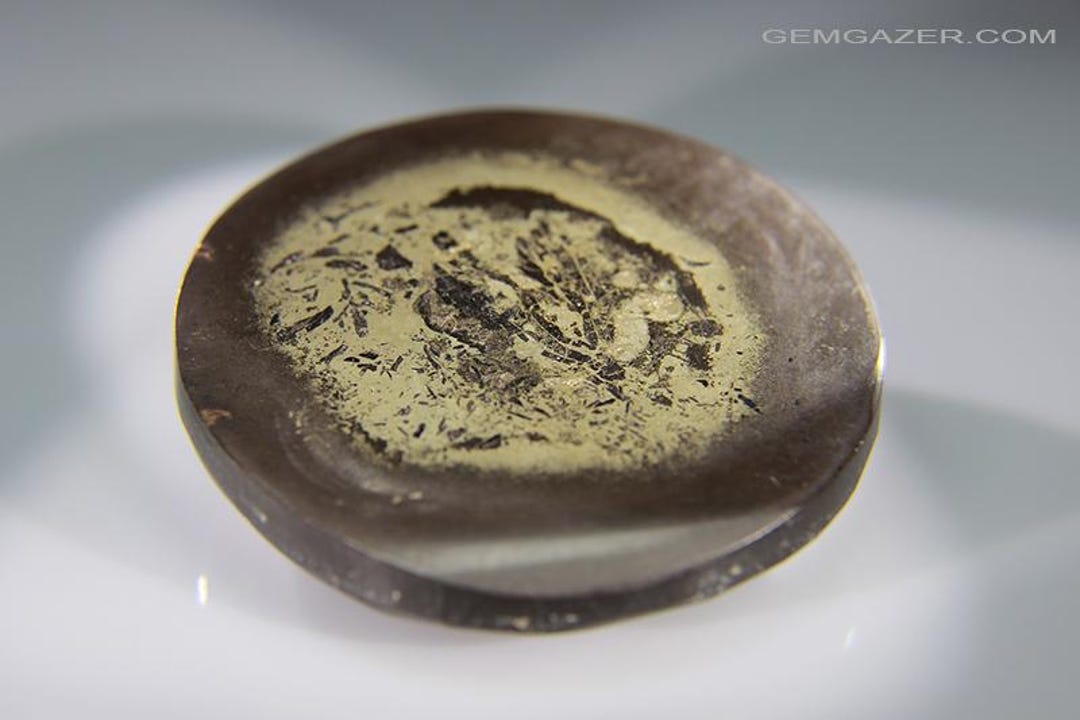 Silicated Fish Coprolite Nodule With Pyrite, Scotland, UK. 81.58 Grams ...