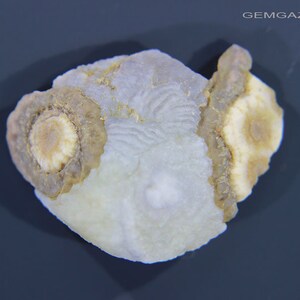 Gobi Desert Eye Agate Pebble. Mongolia. 10.02 Grams / 50.14 Carats. - Etsy