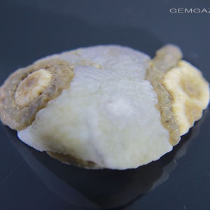 Gobi Desert Eye Agate Pebble. Mongolia. 10.02 Grams / 50.14 Carats. - Etsy