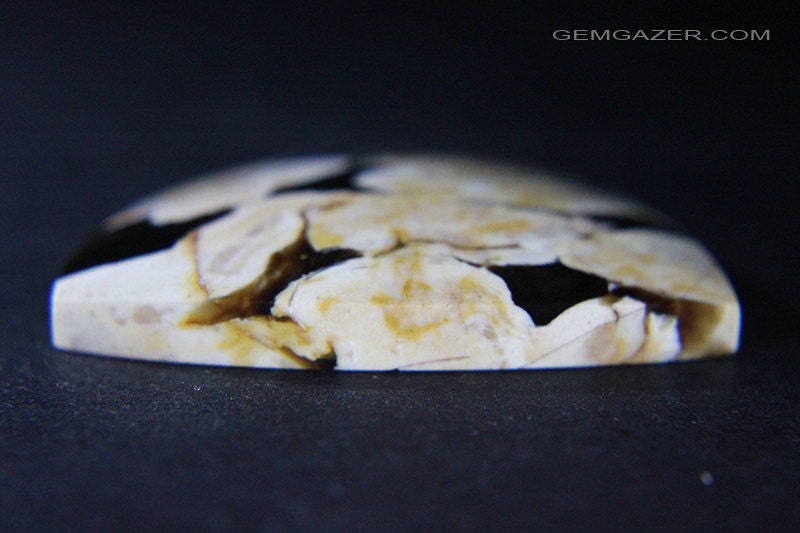 Petrified Fossil Teredo Wood Cabochon aka Peanut Wood , Australia. 35. ...