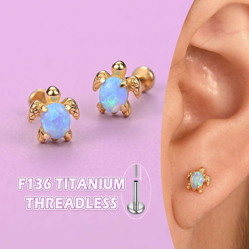 Tiny Flat Back Turtle - Etsy