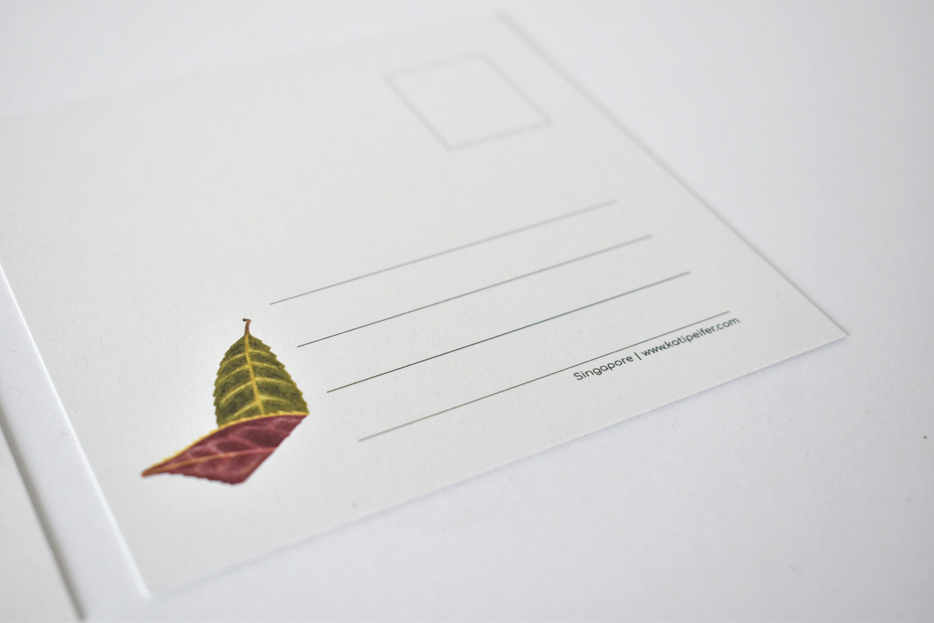 Illustrated Postcard singapore Double Sided Leaf - Etsy