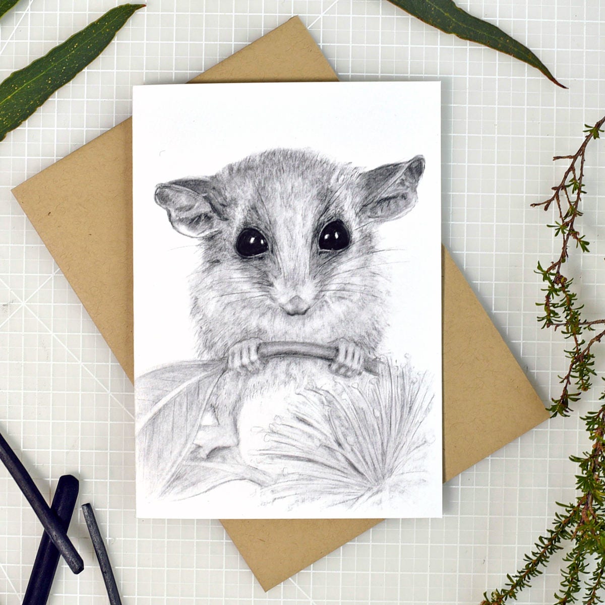 Pygmy Possum Greeting Card With Envelope, A6 Print of Original Charcoal ...