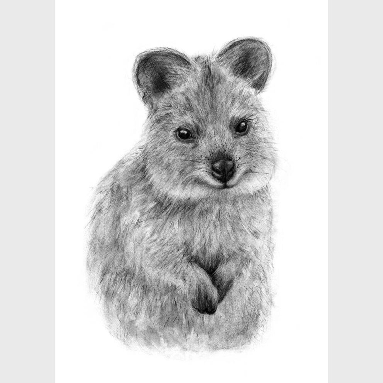 Australian Quokka Art Print, Wall Art, Home Decor, Various Sizes - Etsy