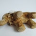 Antique Stuffed Animals German Circus Elephant, Stuffed Mohair, Steiff ...