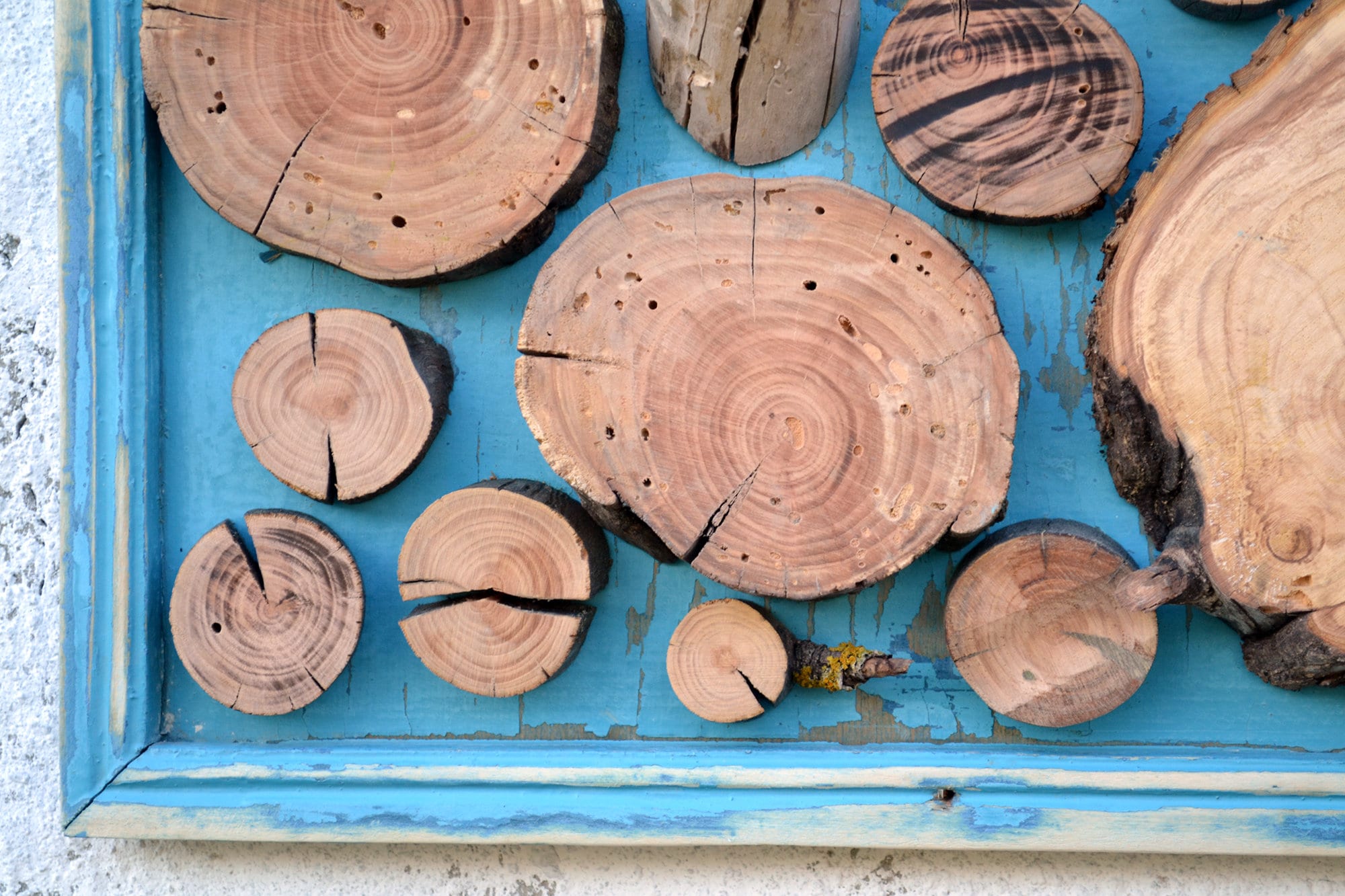 Wood slice art tree slice art wood slice wall art tree ring | Etsy