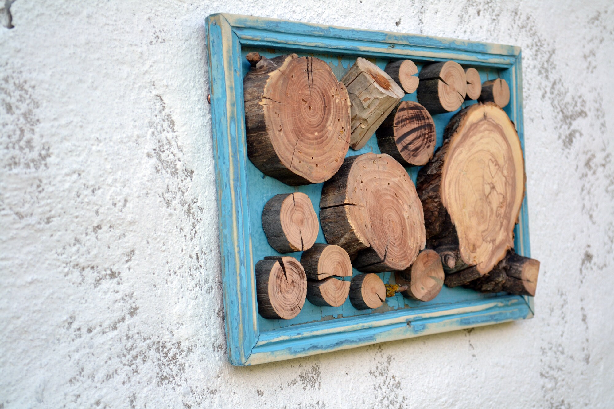 Wood slice art tree slice art wood slice wall art tree ring | Etsy