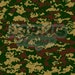 Camouflage Digital Paper Set of 10 Digital Printing Backgrounds, Camo ...